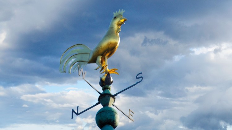 Willkommen bei BASF Agricultural Solutions Schweiz